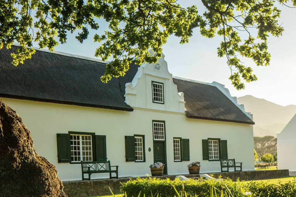 Buy top wines from the La Motte winery online